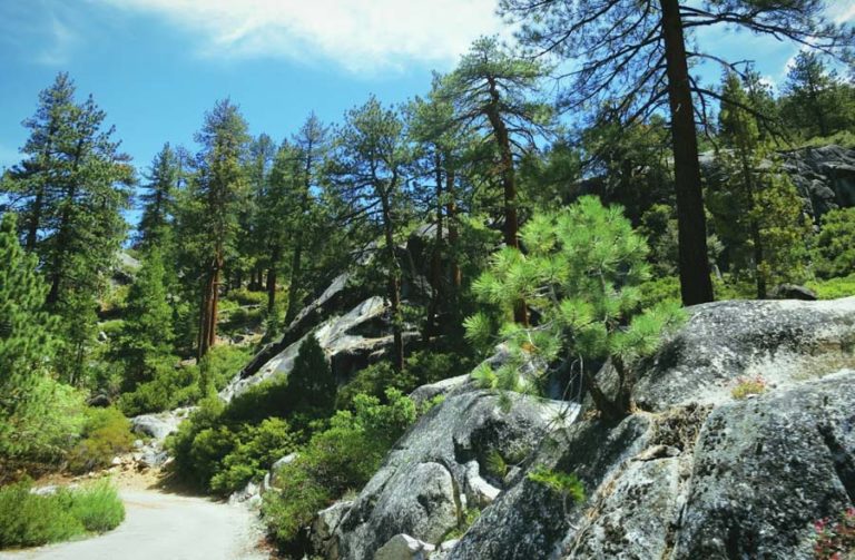 The Mono Hot Springs Camping Incident: The Importance of A Good Travel ...