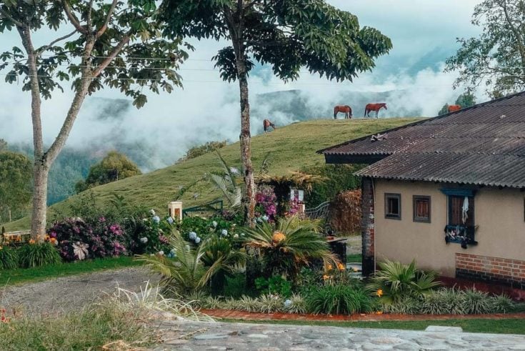 12 Hostels in Colombia: Where to Stay... & Where NOT to Stay!