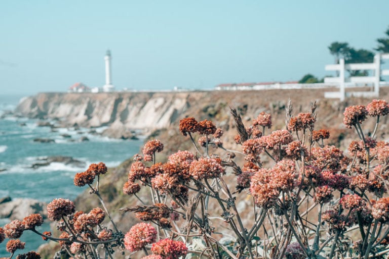 The 32 Best Pacific Coast Highway Stops: California Towns, Landmarks ...