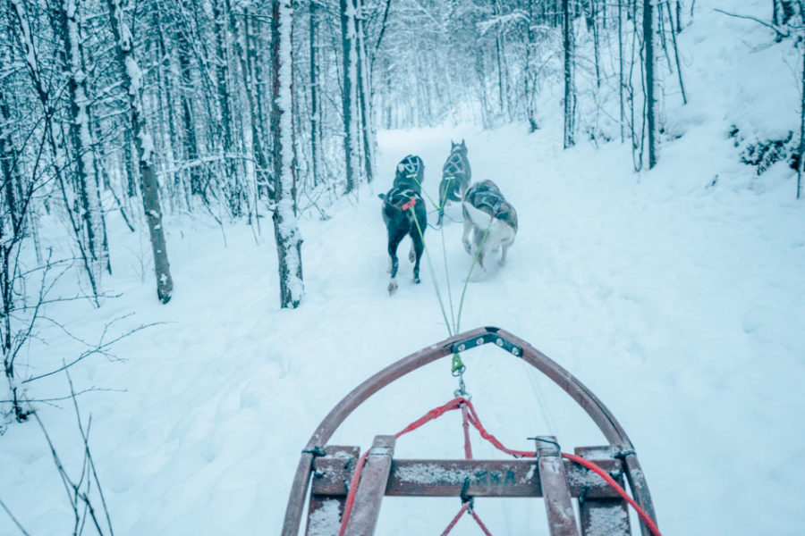 23 Epic Things to do in Banff in Winter: The Ultimate Banff Winter Guide