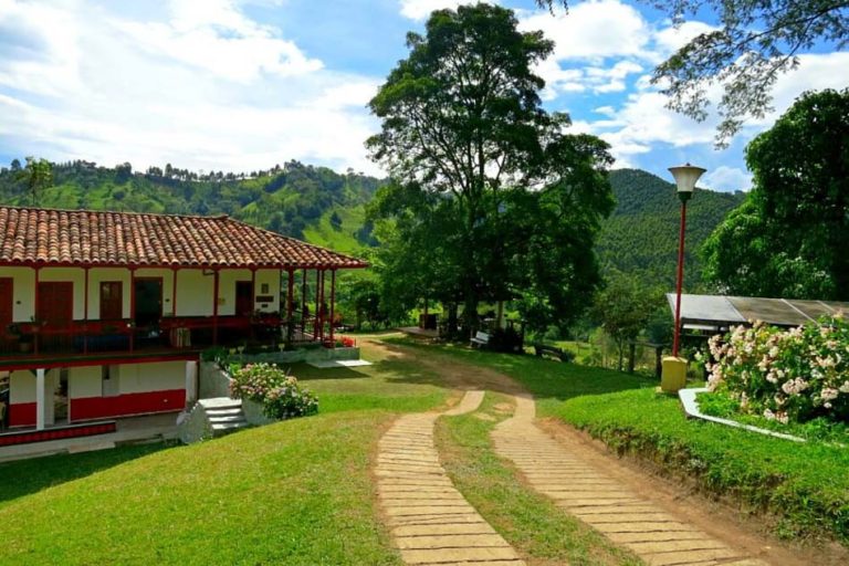 Colombian Coffee Farm Tour in Salento: The Best Coffee Experience