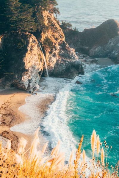 42 Places to Go Whale Watching in California: The Ultimate Guide