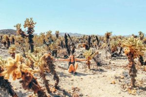 10 Best Hikes in Southern California (a Local's Guide) - Practical ...