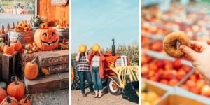 Fall in California Guide: 21 Places to Go for California Fall Foliage ...