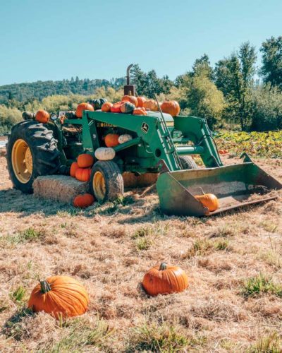Fall in California Guide: 21 Places to Go for California Fall Foliage ...