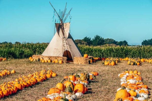Fall in California Guide: 21 Places to Go for California Fall Foliage ...