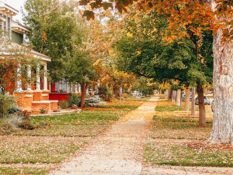 9 Fantastic Things to do in Fort Collins, Colorado: A Local's Guide