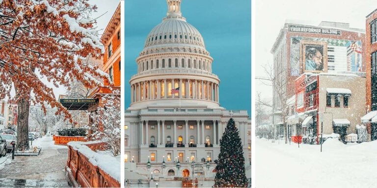 10 Magical Things to Do in Washington DC in the Winter (& Why You ...
