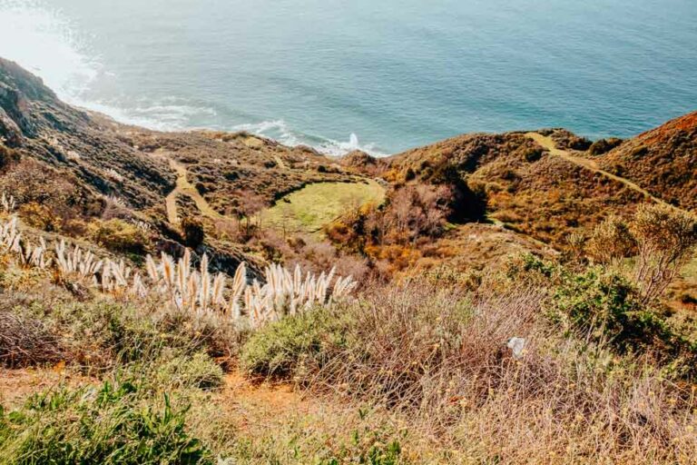 14 Beautiful Big Sur Campgrounds: The Best Camping in Big Sur, California