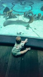 How to do Disney World with a Baby, the Ultimate Guide by a former Cast ...