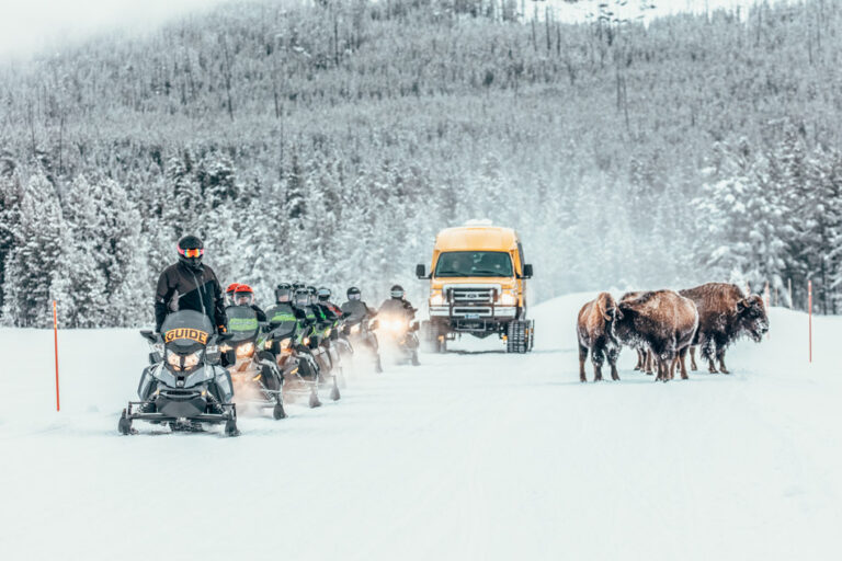 The Ultimate Yellowstone in Winter Guide: Everything You Need to Know