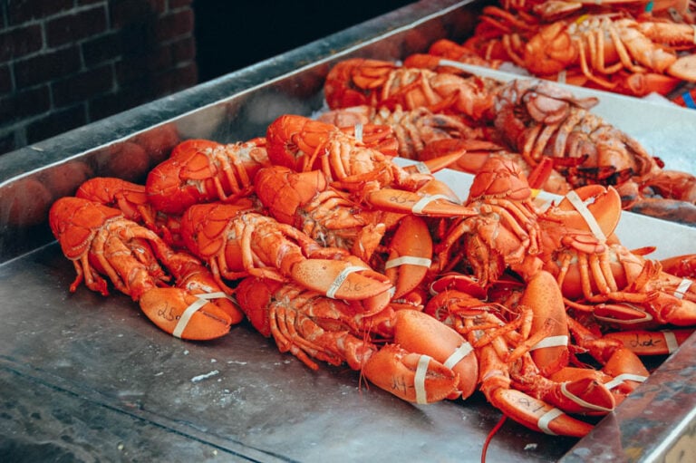 The Ultimate 10-Day New England Road Trip Itinerary