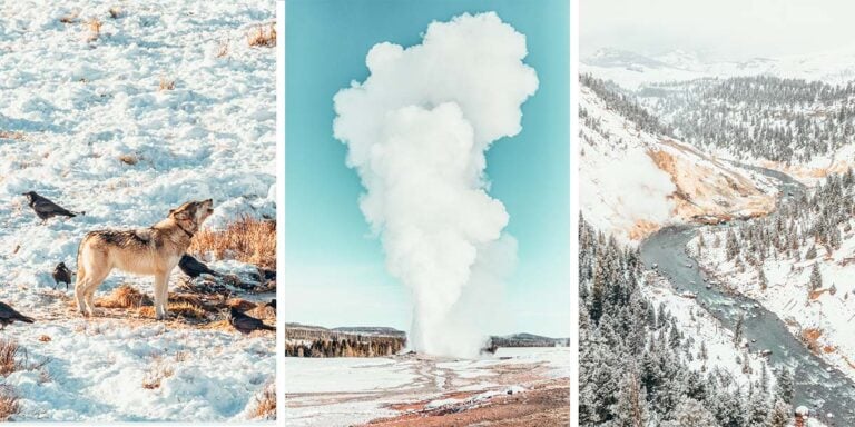 The Ultimate Yellowstone in Winter Guide: Everything You Need to Know