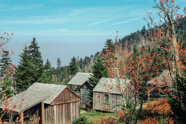 12 Epic Things to Do in Smoky Mountain National Park (& MASSIVE Travel ...